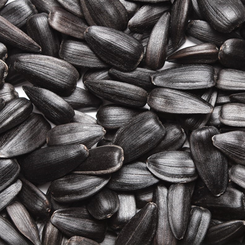 Bird Seed Guide: What types of bird seed are best? – natureswaybirds.com