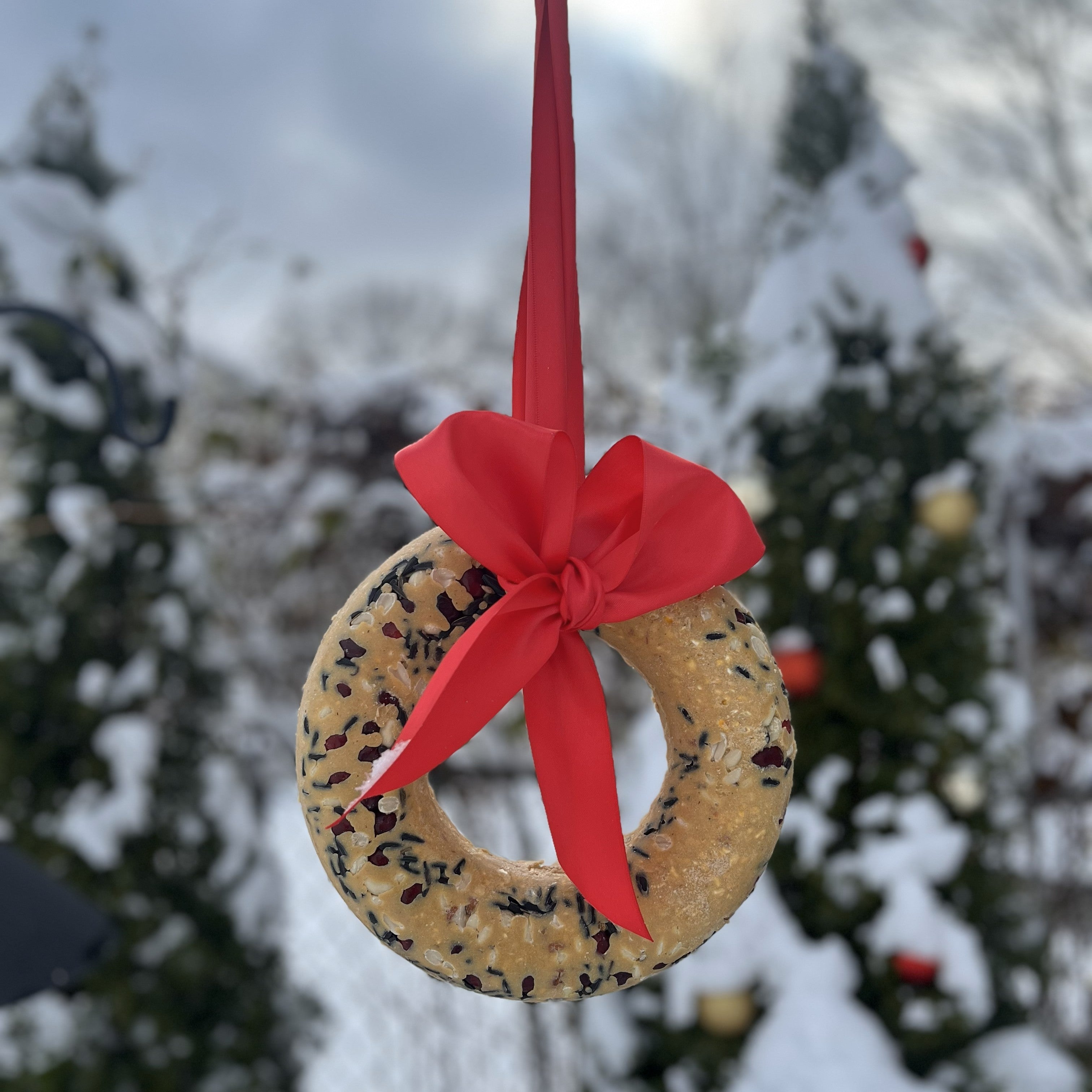 How to make a suet wreath for birds – Nature's Way Bird Products