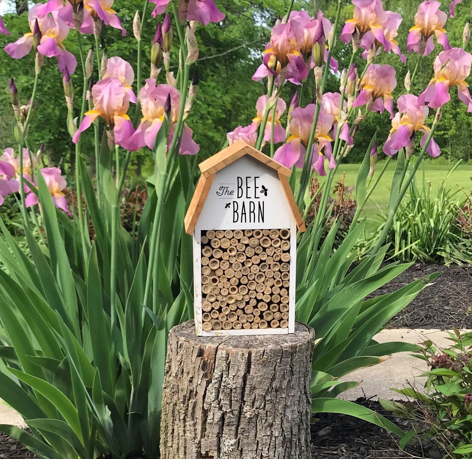 How to use an insect house – Nature's Way Bird Products