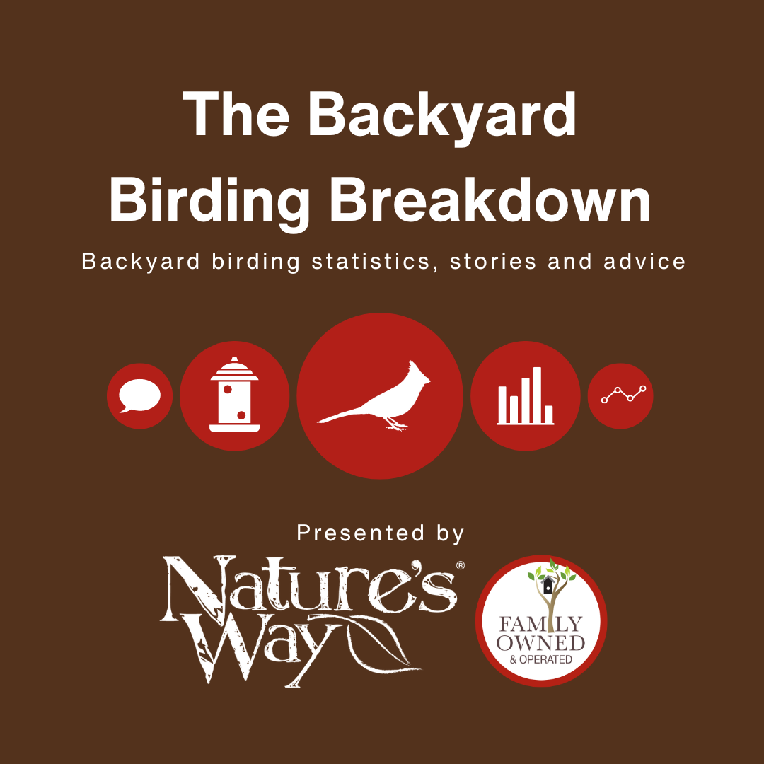 The Backyard Birding Breakdown: Backyard birding statistics, stories a ...