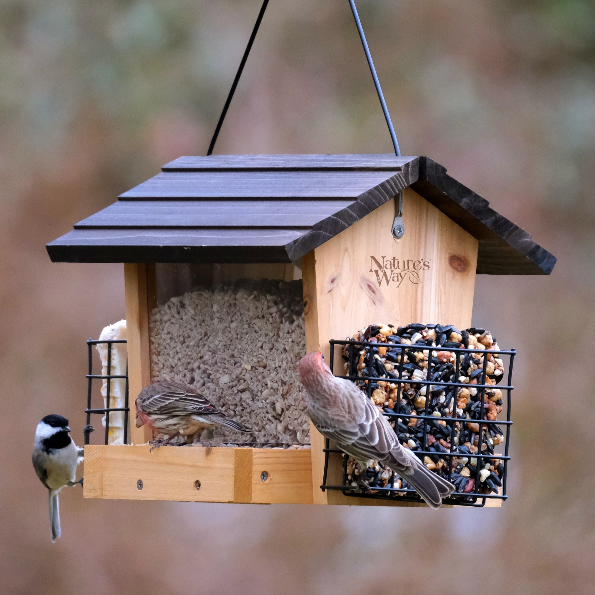 Hopper Feeders – Nature's Way Bird Products