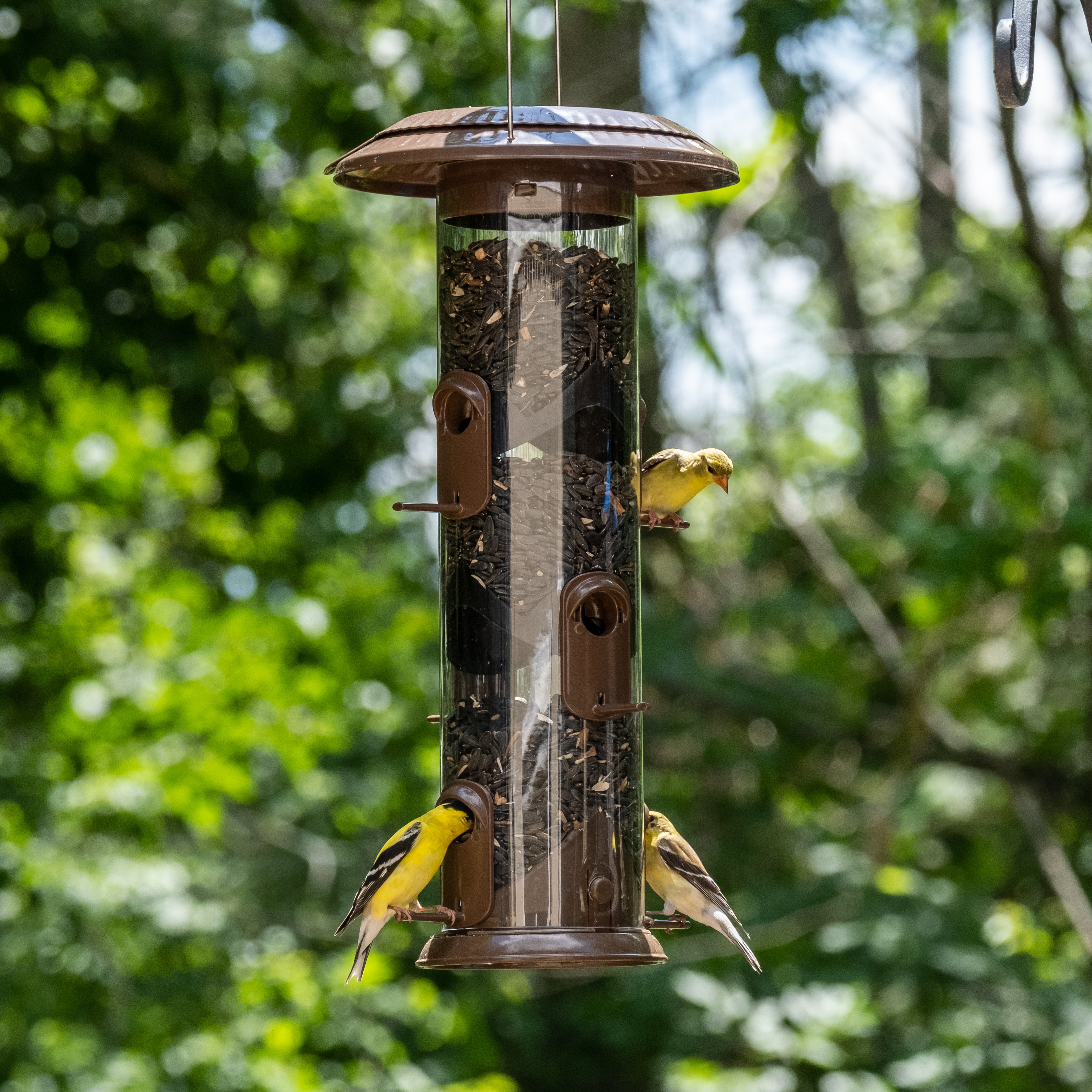 Tube Feeders – Nature's Way Bird Products