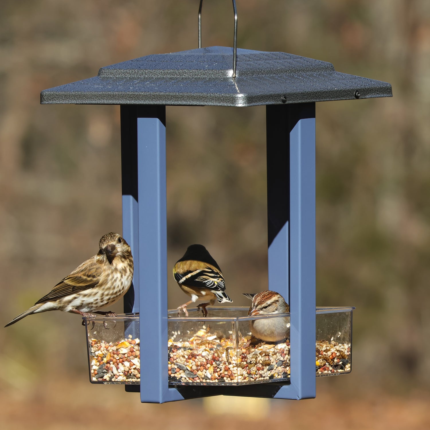 Fly-in Hanging Metal Fly Through Bird Feeder – Nature's Way Bird Products