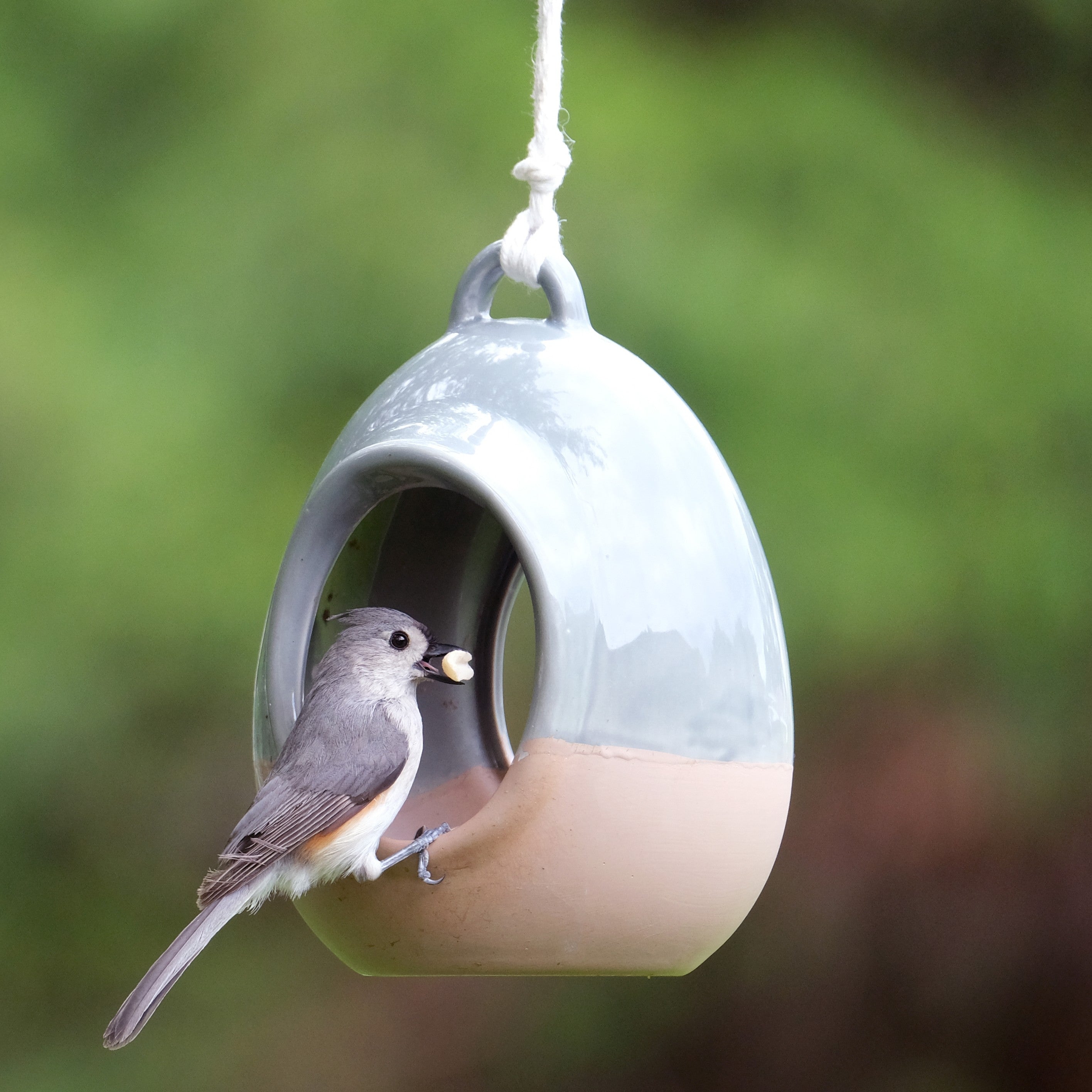 Planter & Perch Ceramic Fly Through Feeder and Planter – Nature's Way ...