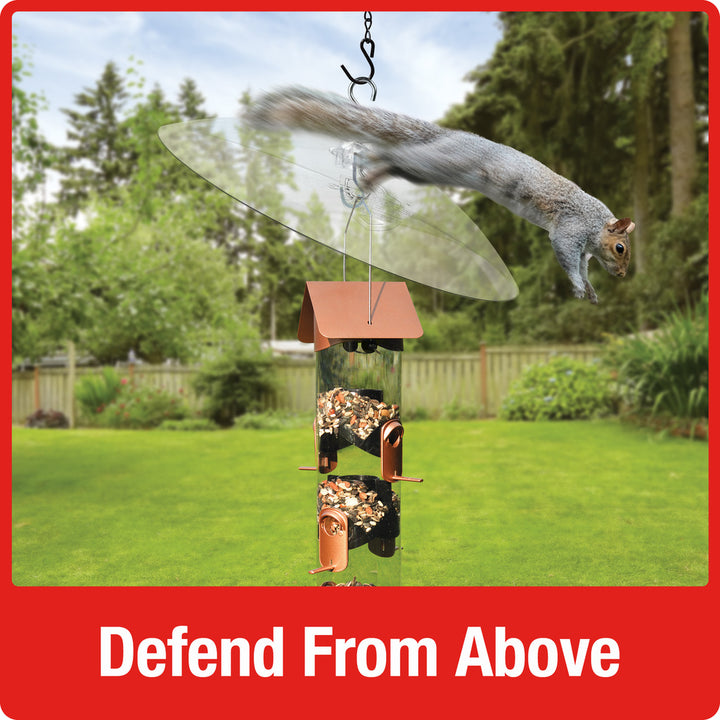Squirrel Shield 16-inch Dual-Mount Transparent Squirrel Baffle – Nature ...