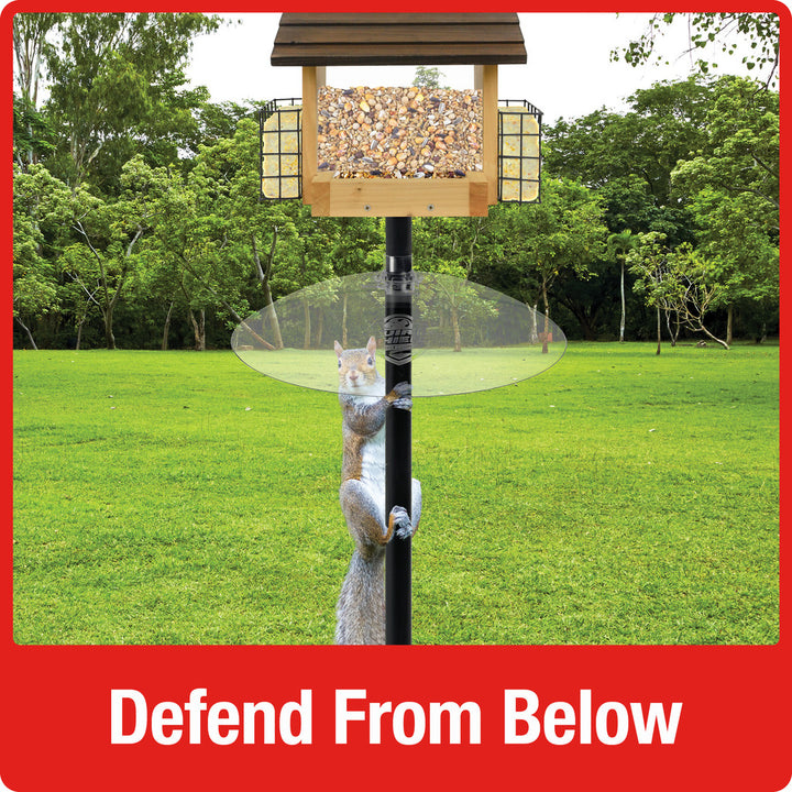 Squirrel Shield 16-inch Dual-Mount Transparent Squirrel Baffle – Nature ...