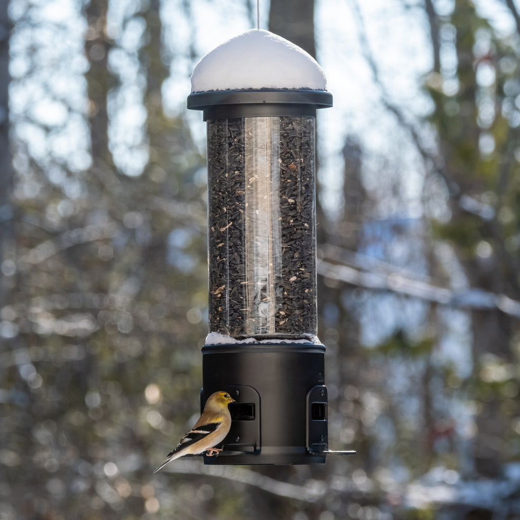 Squirrel Shield Choice Tube Feeder – Nature's Way Bird Products