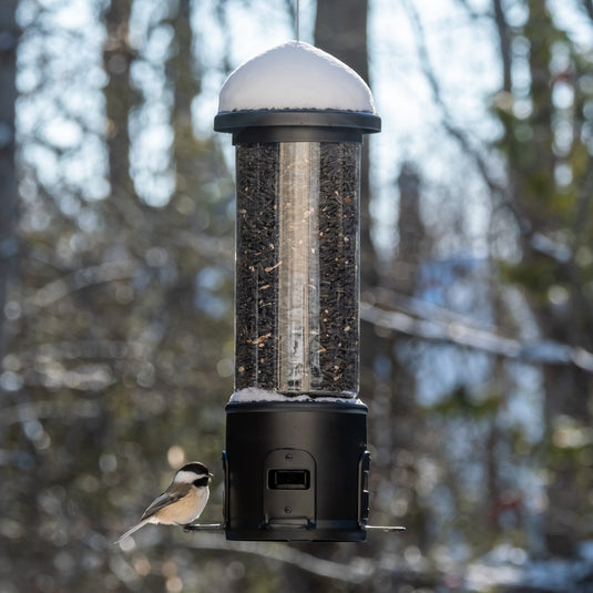 Squirrel Shield Choice Tube Feeder – Nature's Way Bird Products