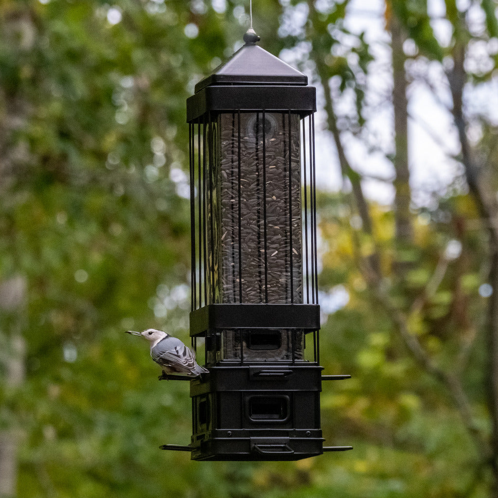 Squirrel Shield Advantage Cage Feeder (Model# SPCAGE-1 ...