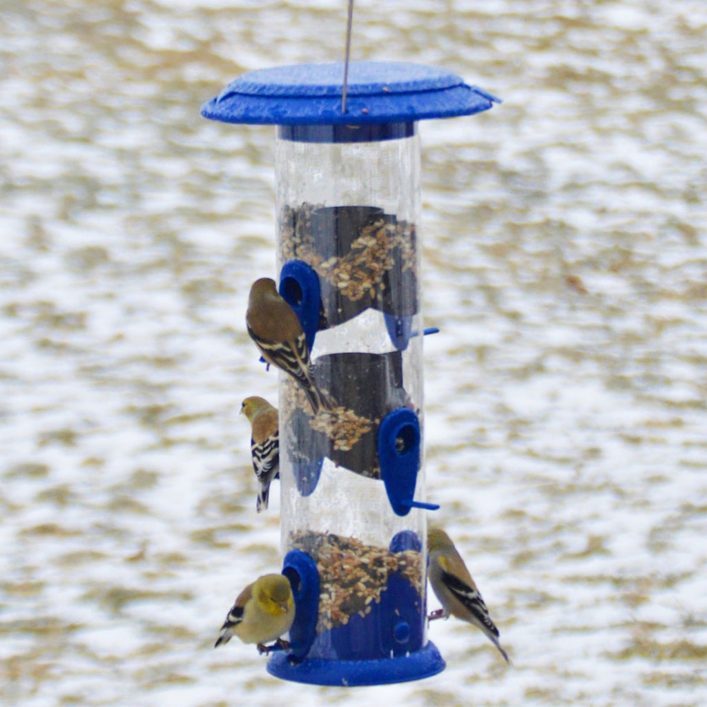 Wide Funnel Flip-Top Tube Feeder – Nature's Way Bird Products